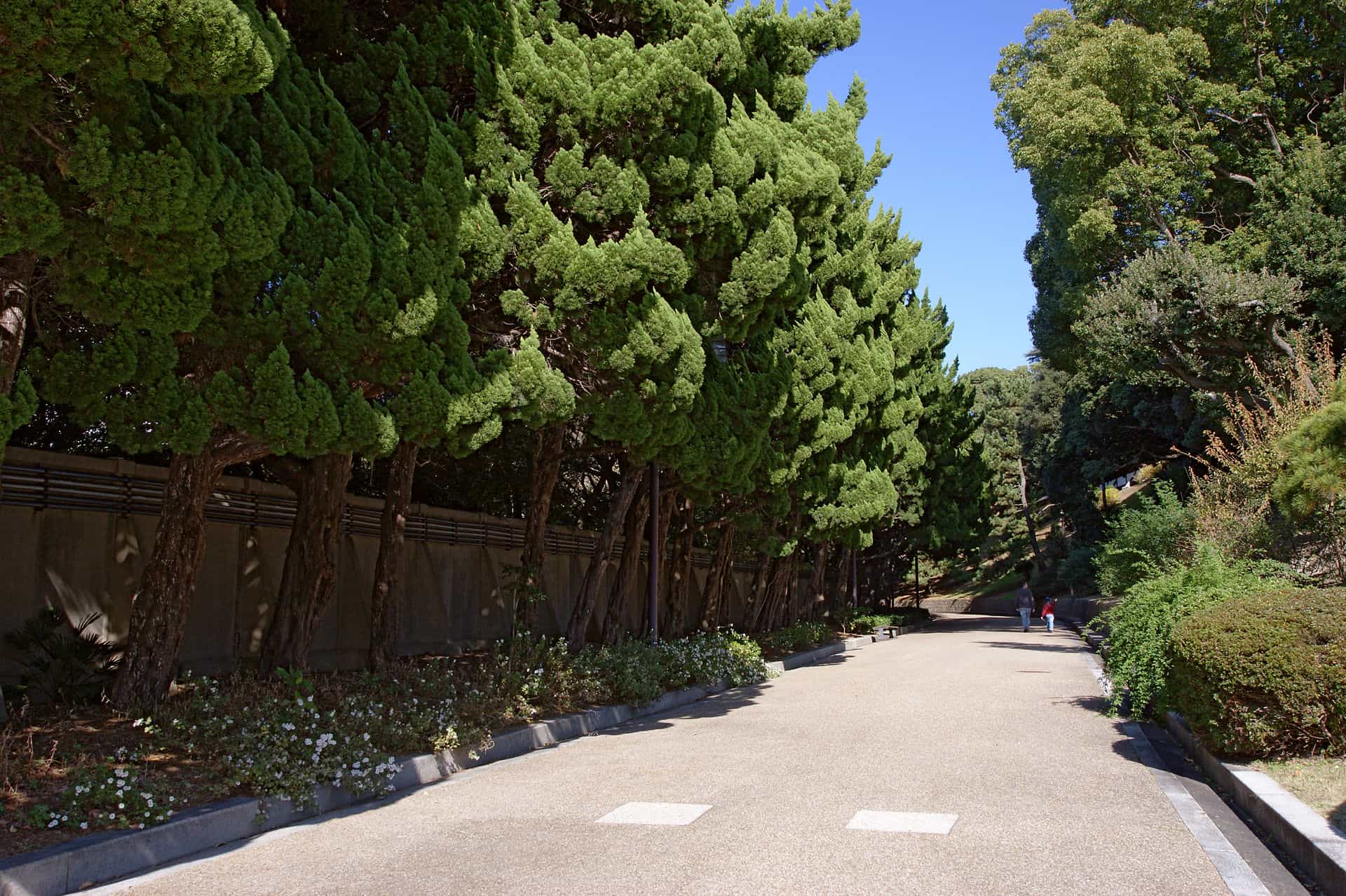 Must visit garden in Kobe: Suma Rikyu Koen Park | inter global age